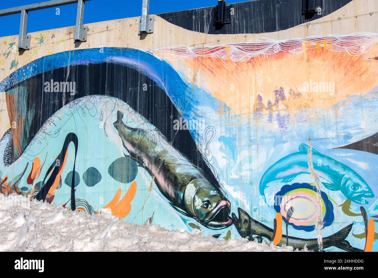 Arctic char fish mural under the theme of "Come Together" at Qikiqtani ...