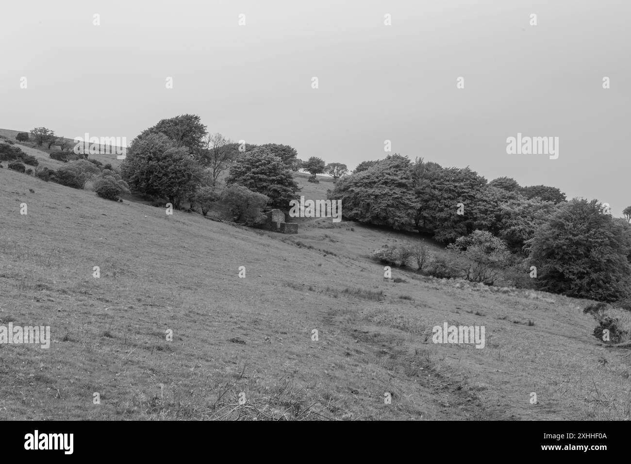 Exmoor national park and people Black and White Stock Photos & Images ...