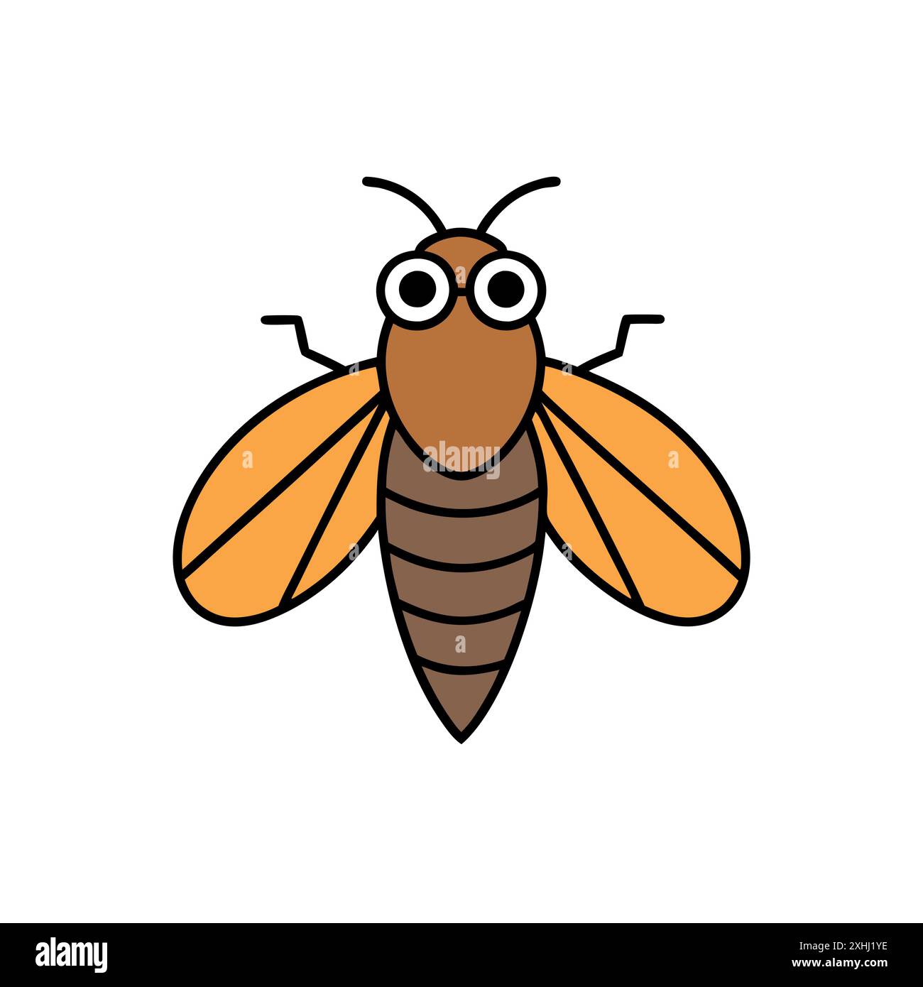 Cicada drawing hi-res stock photography and images - Alamy