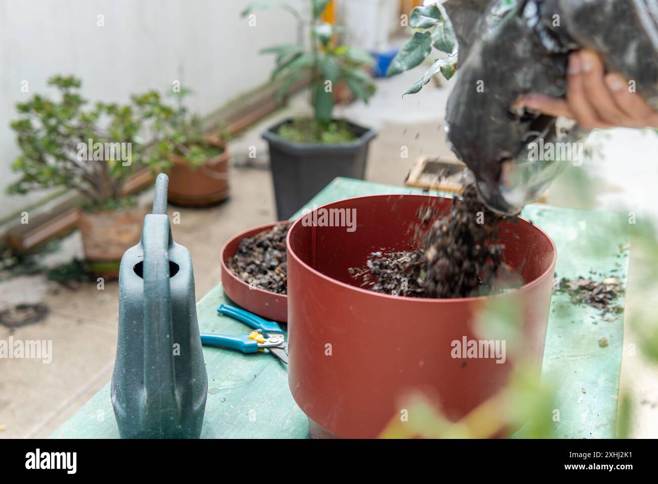 Hands placing composted soil in a pot in the garden in the morning ...