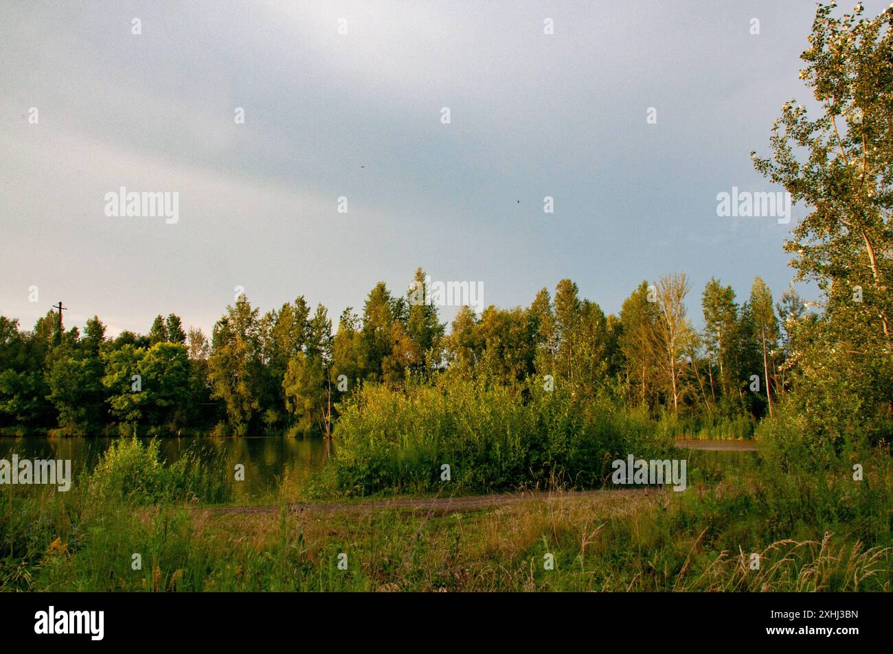 Suesswasserlebensraeume hi-res stock photography and images - Alamy