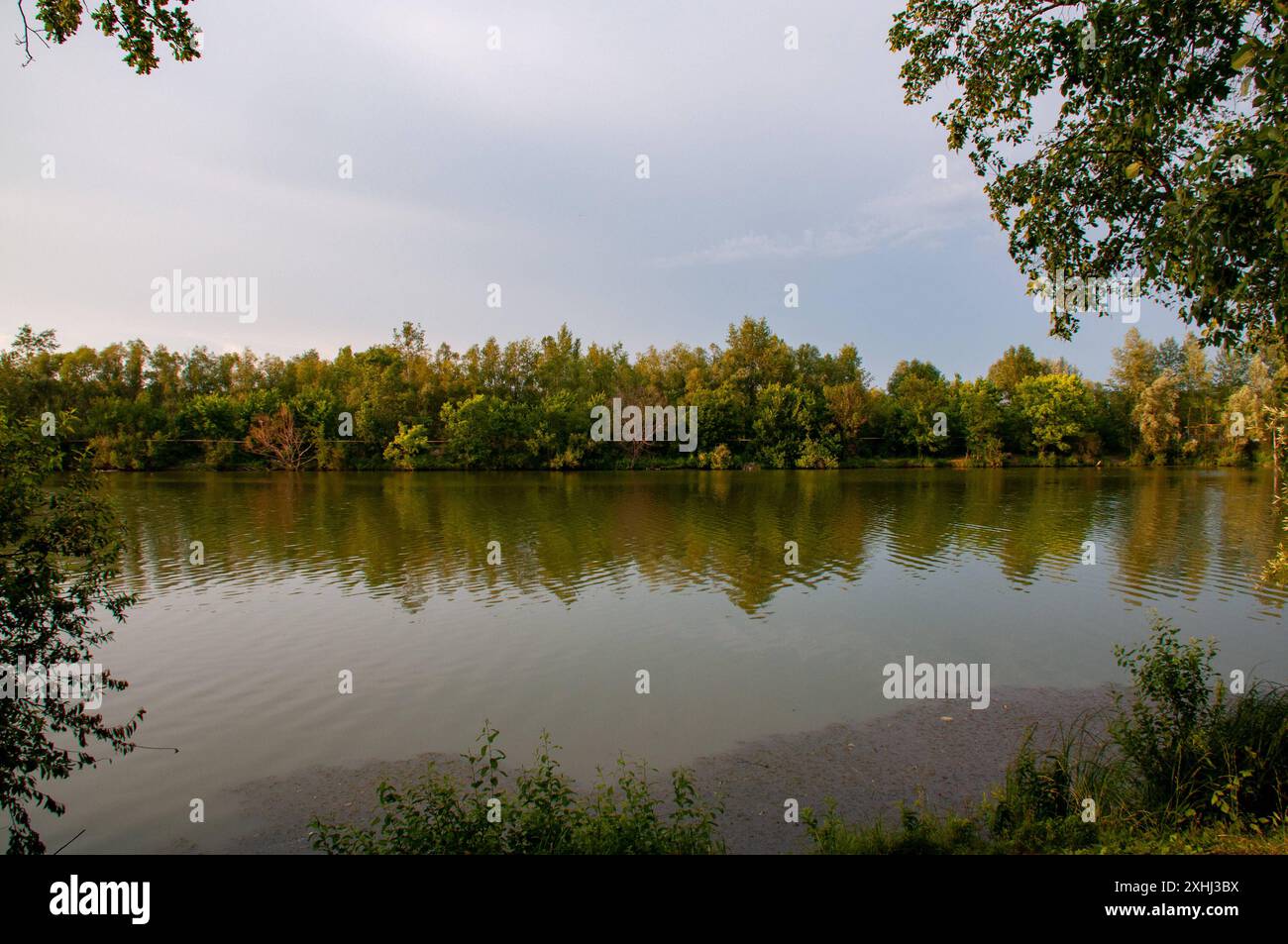 Suesswasserlebensraeume hi-res stock photography and images - Alamy