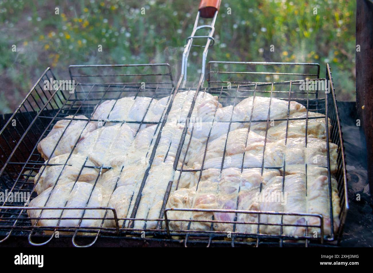 Country and garden plots Barbecue chicken shish kebab Samara Samara ...