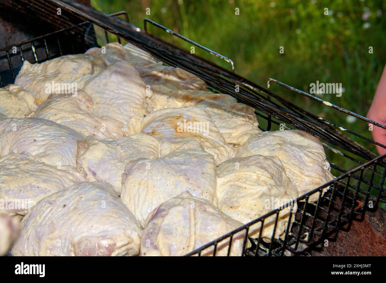 Country and garden plots Barbecue chicken shish kebab Samara Samara ...