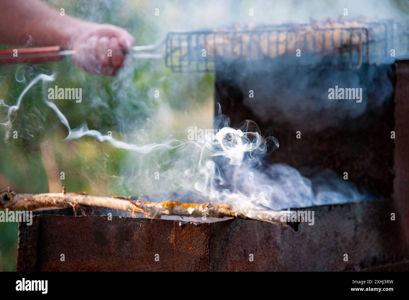 Country and garden plots Barbecue chicken shish kebab Samara Samara ...