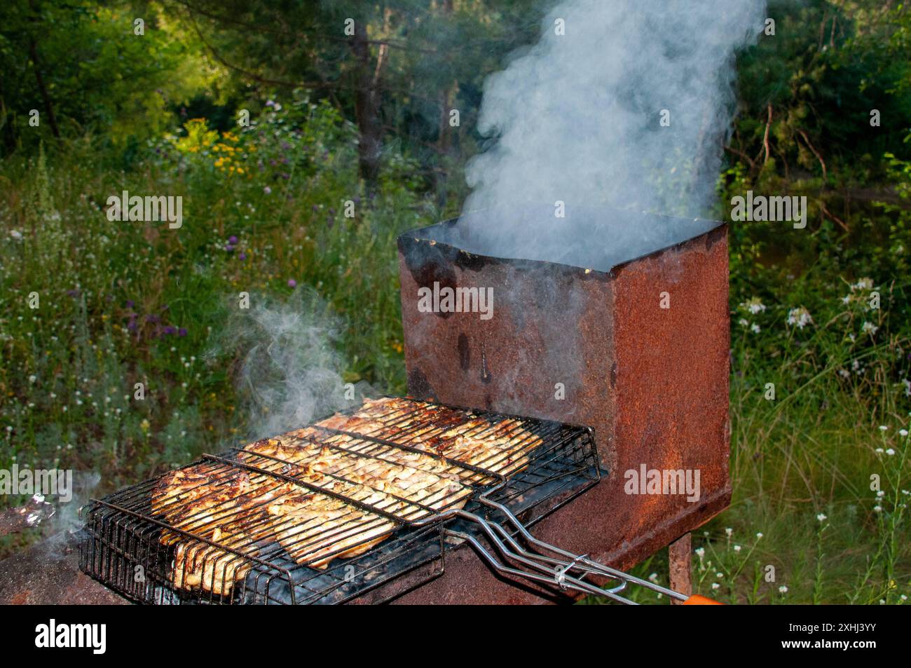 Country and garden plots Barbecue chicken shish kebab Samara Samara ...