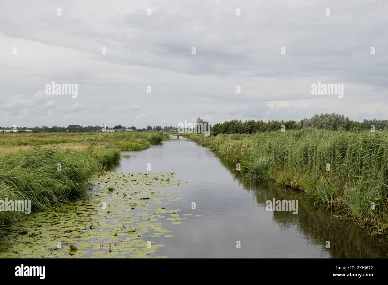 flat field farmland with water drainage ditch slot in Dutch countryside ...
