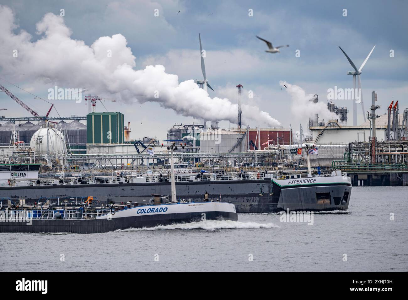Binnentankschiffe, Raffinerien, im Petroleumhaven, Seehafen von ...