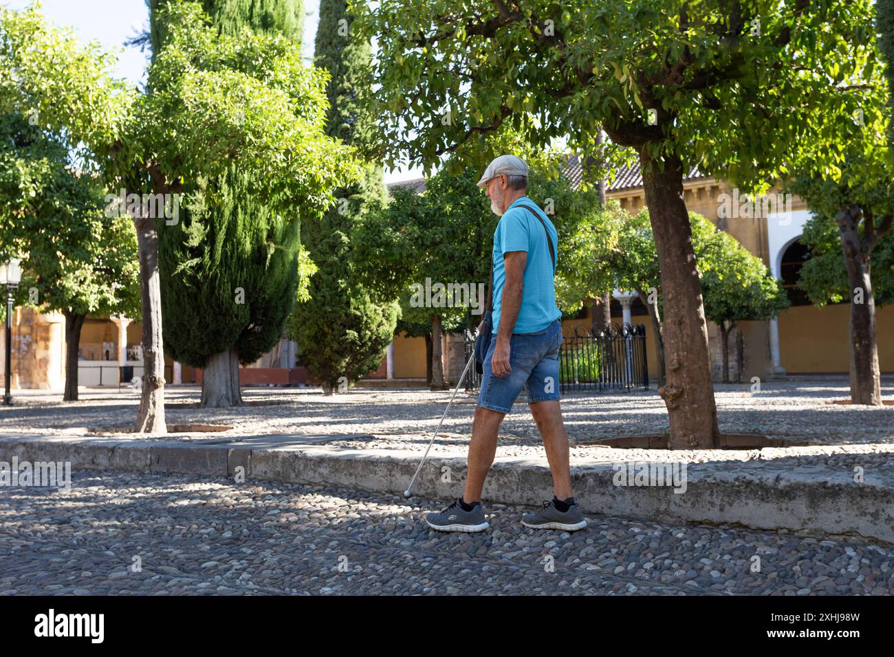 A mature, blind man walks confidently through a park, using a white ...