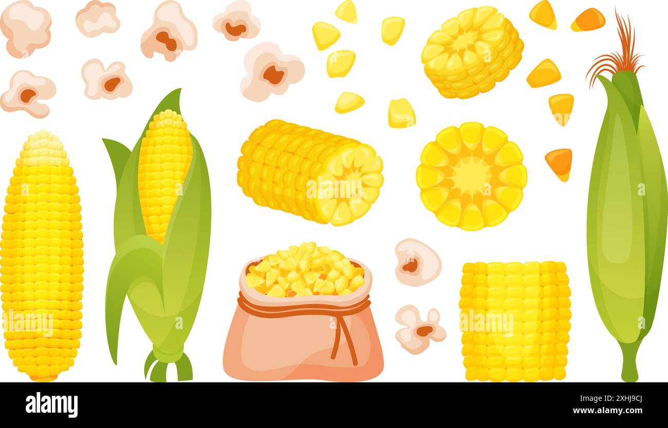Cartoon corn. Corns cob popcorn and grains in textile bag. Agriculture ...