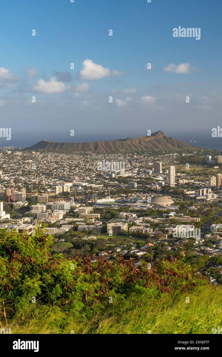 Downtown city view from Tantalus Lookout - Puu Ualakaa State Park in ...