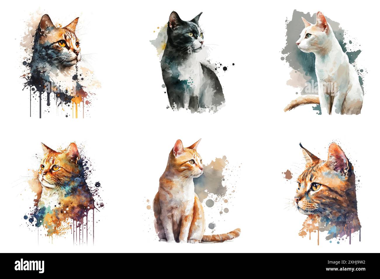 Cat Watercolor vector illustration Stock Vector Image & Art - Alamy