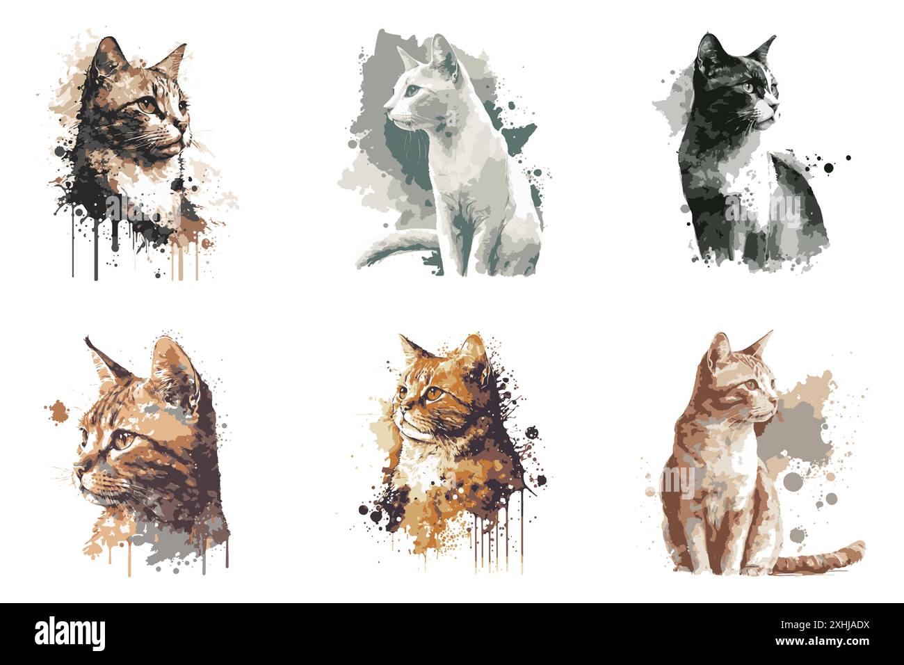 Cat Watercolor vector illustration Stock Vector Image & Art - Alamy