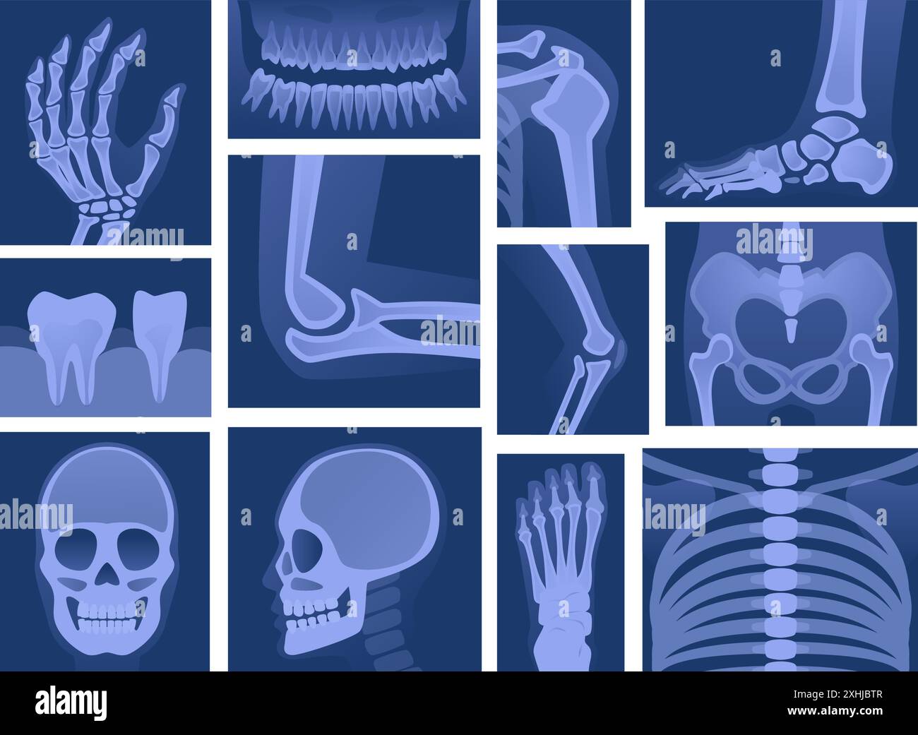 Body parts scanning. X ray skeleton human body medical scan of bones ...