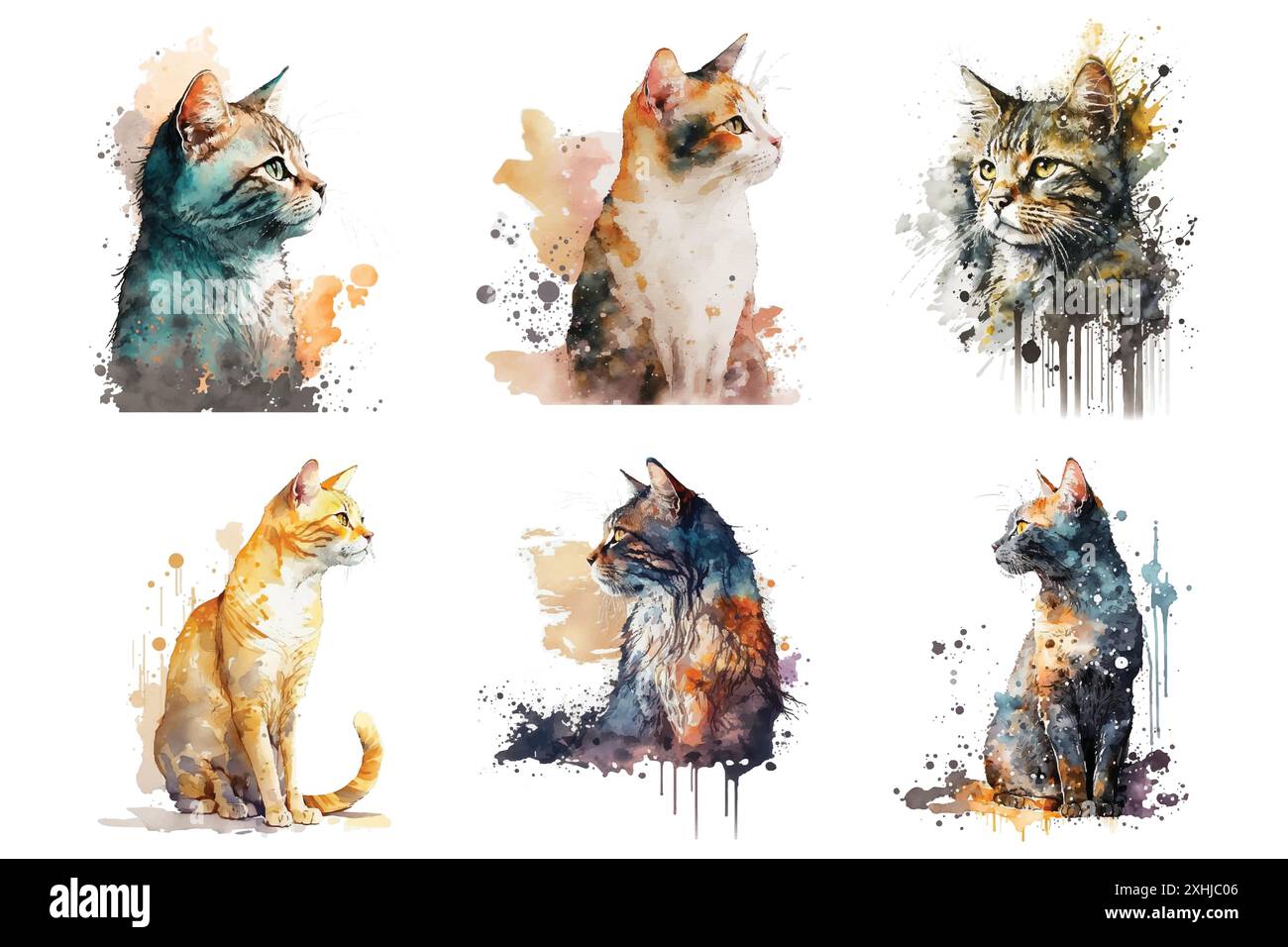 Cat Watercolor vector illustration Stock Vector Image & Art - Alamy
