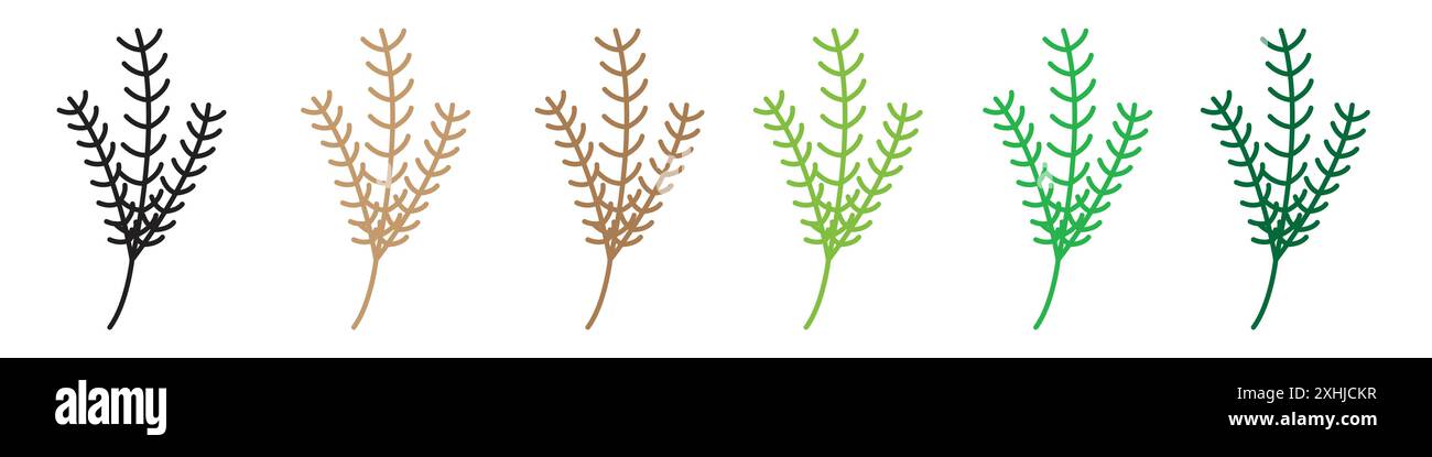 Pine branch icon Black line art vector in black and white outline set ...