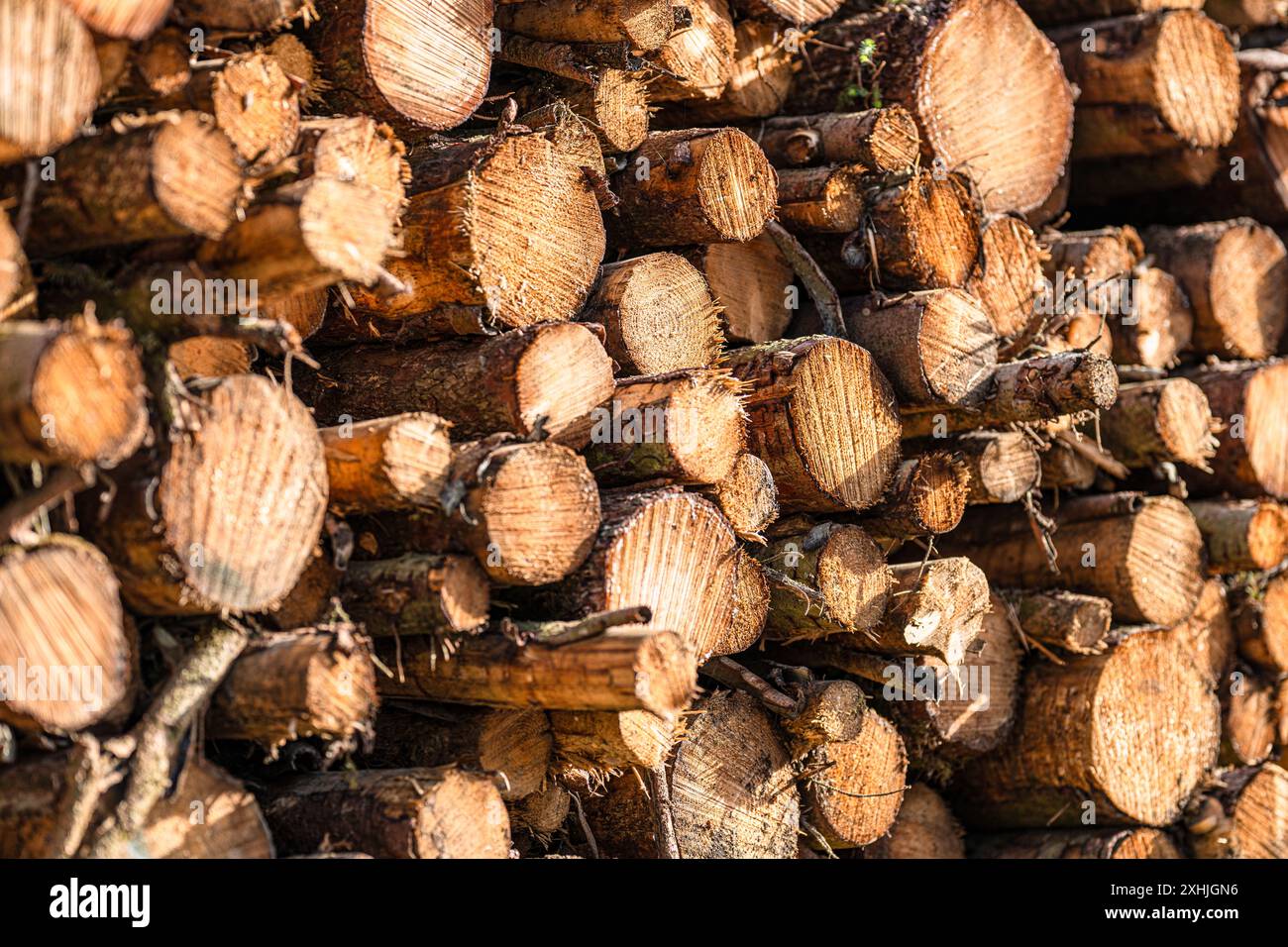 Large pile of wood logs Stock Photo - Alamy