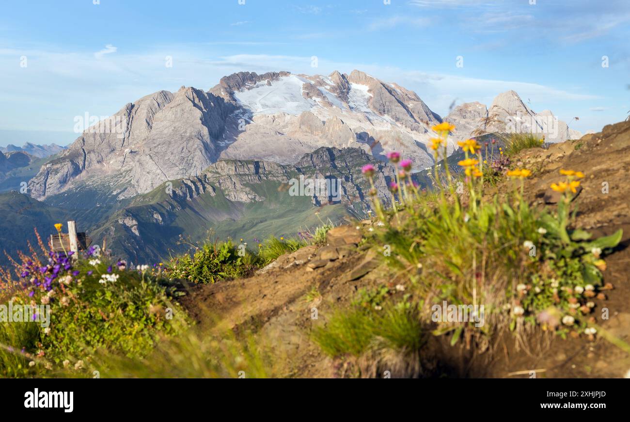 Italian dolomites highest peak hi-res stock photography and images - Alamy