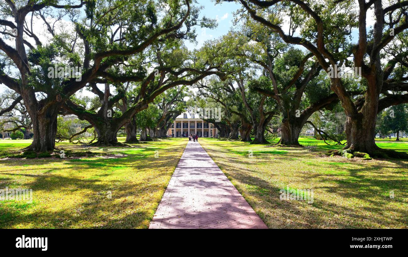 Saint james plantation hi-res stock photography and images - Alamy