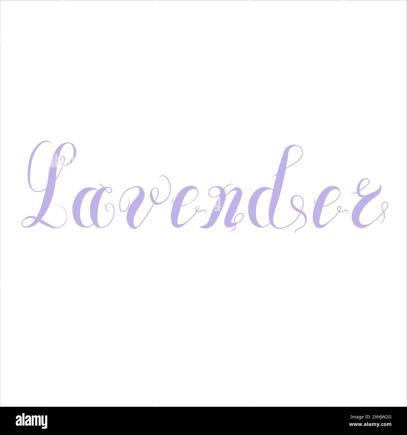 Lettering Lavender. Vector illustration isolated on white background ...