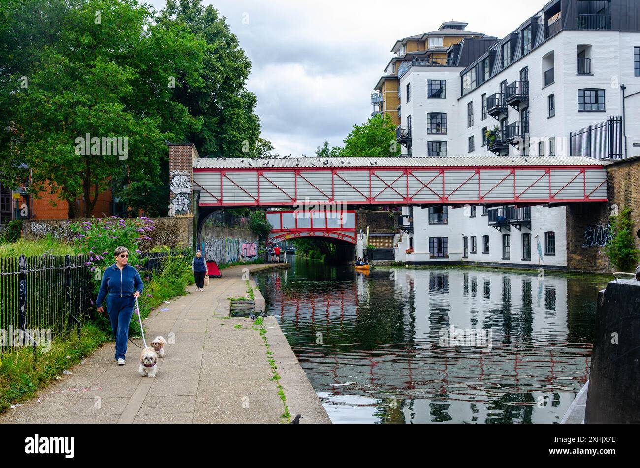 A lady walks her dogs along the Paddington Arm of The Grand Union Canal ...
