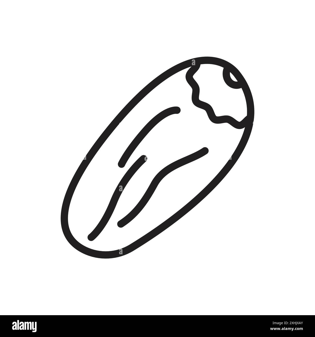 Date fruit icon Black line art vector in black and white outline set ...