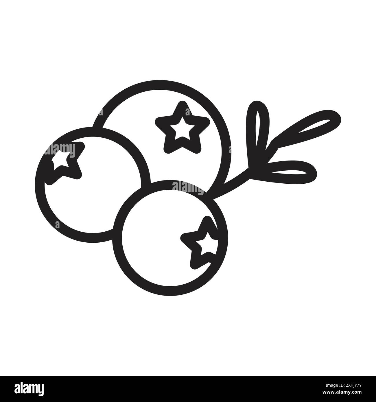 Juniper Icon Black Line Art Vector In Black And White Outline Set Collection Sign Stock Vector