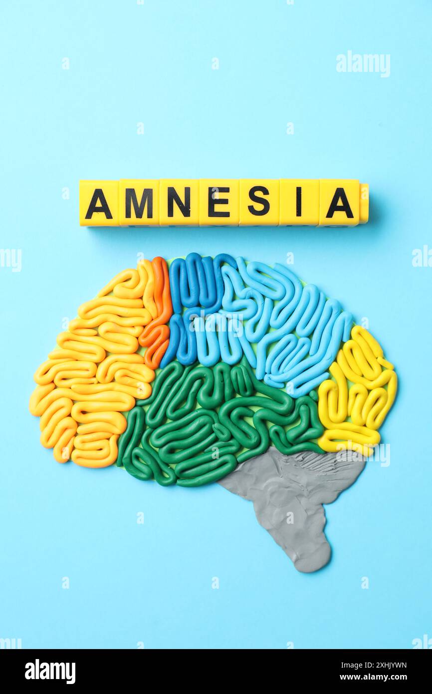 Word Amnesia and brain with sections made of plasticine on light blue ...