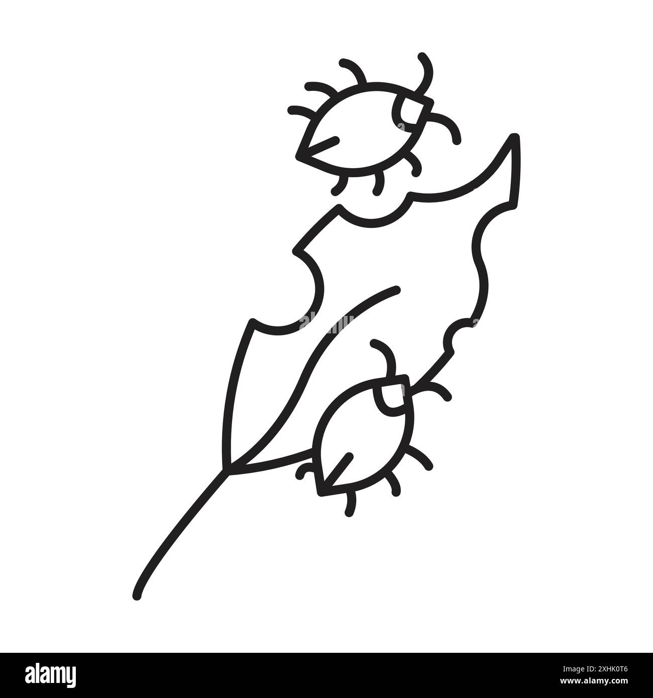 Pest plant icon Black line art vector in black and white outline set collection sign Stock ...