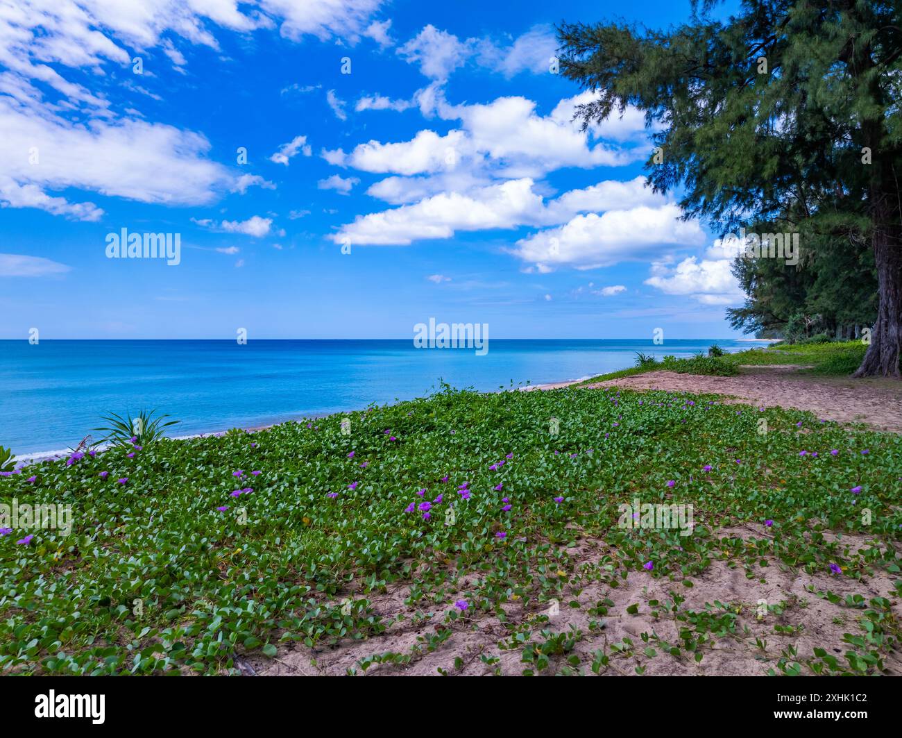 Beautiful sea in summer hi-res stock photography and images - Alamy