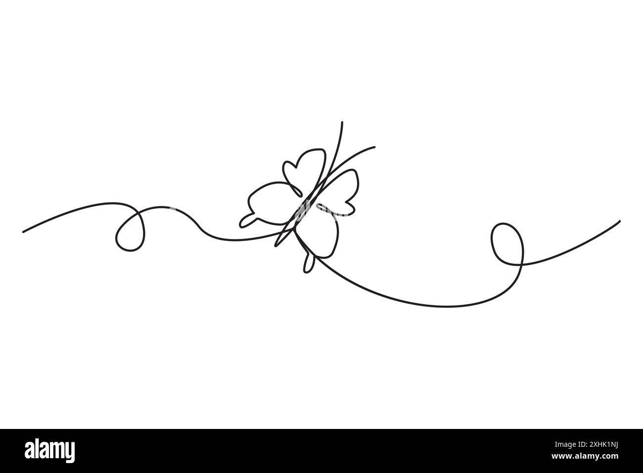 Butterfly line drawing. Continuous line art. Minimalist insect sketch ...