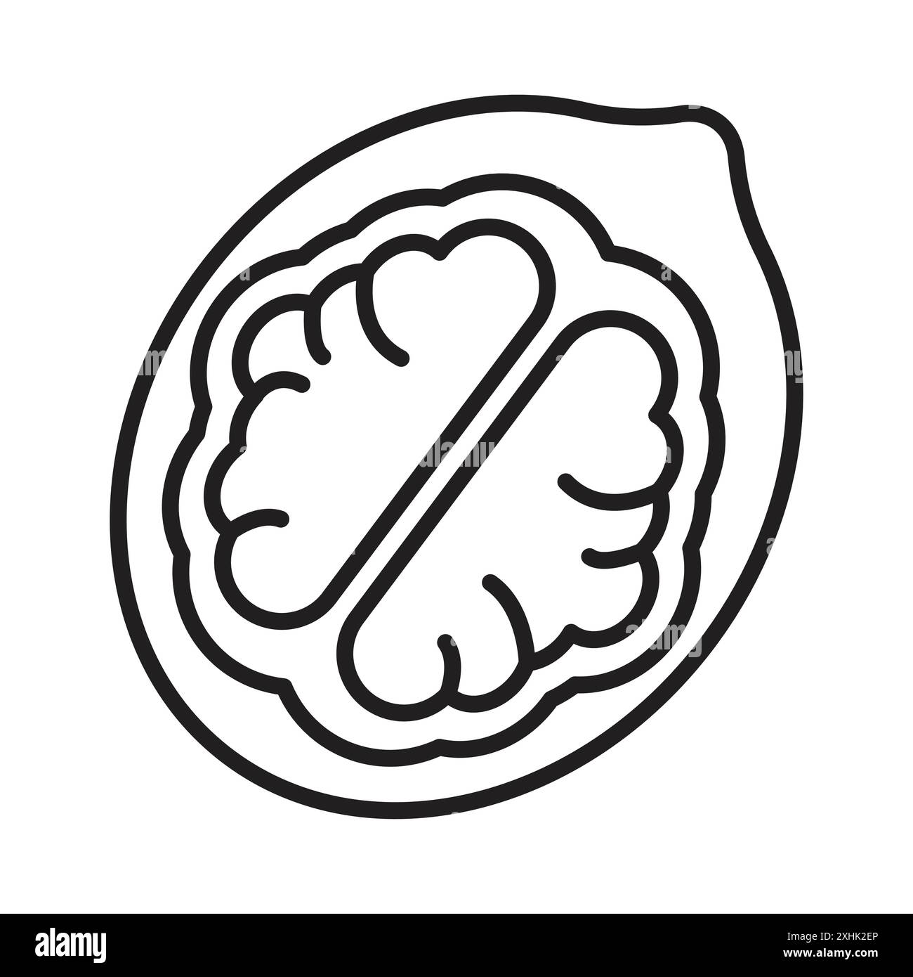 Walnut icon Black line art vector in black and white outline set ...