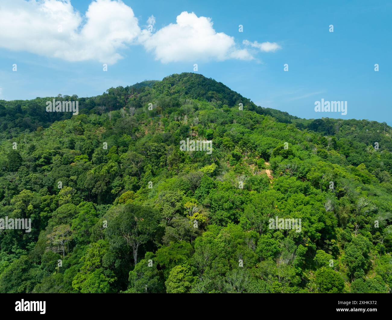Aerial view Tropical Rainforest trees mountains Stock Photo - Alamy