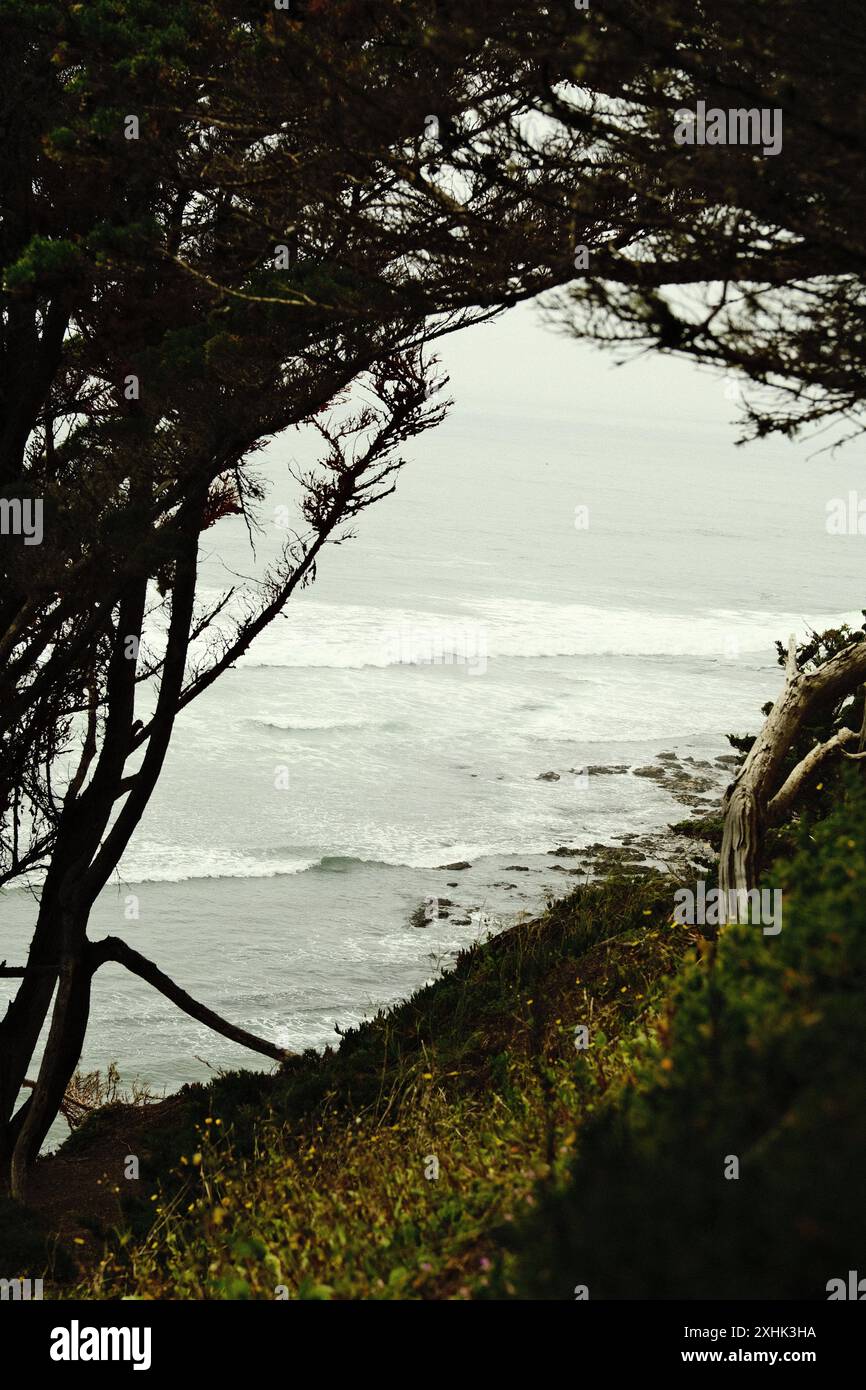 Cliffside View of Pacific Ocean, Half Moon Bay, California Stock Photo ...