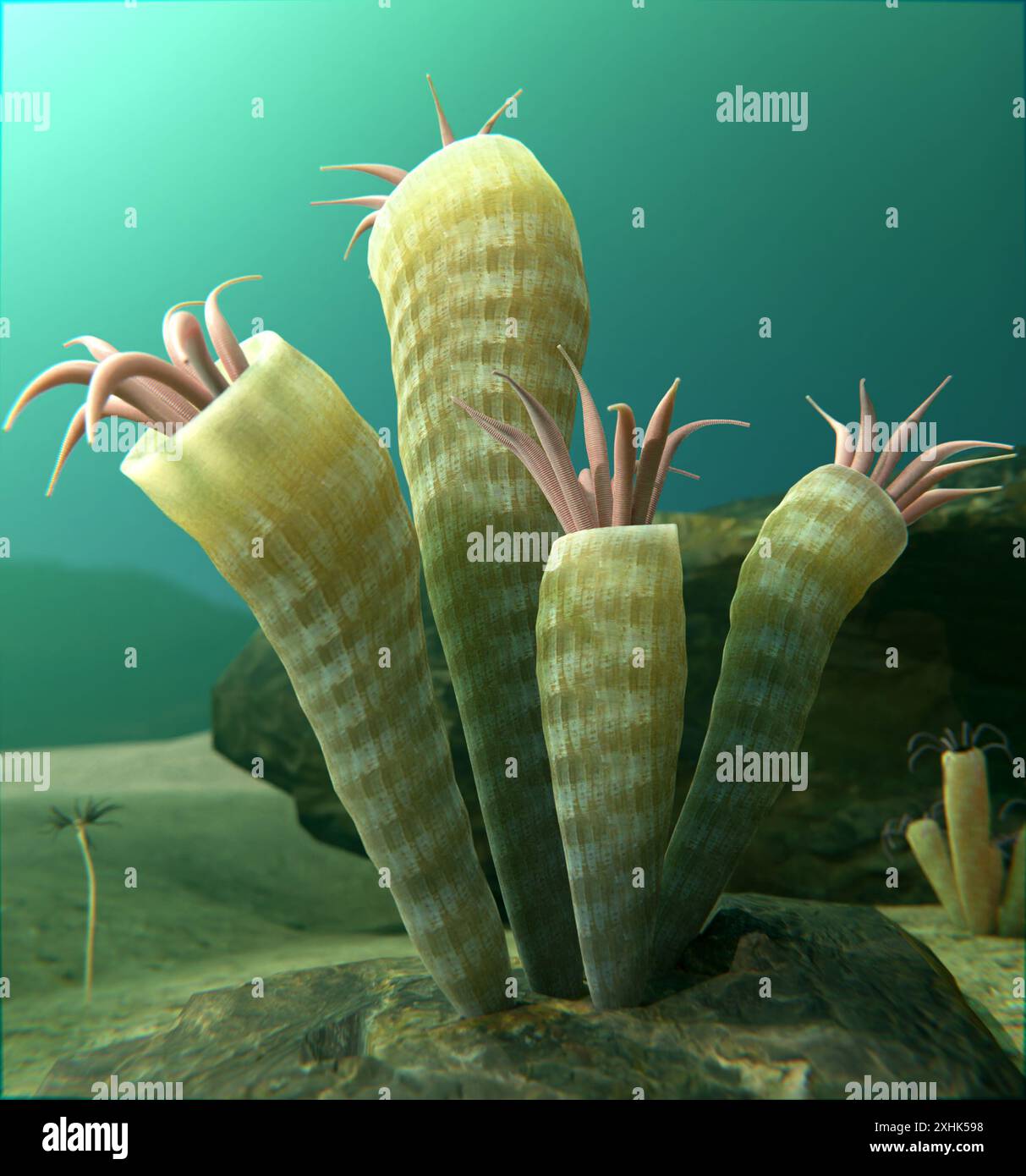 An illustration of the extinct Horn Coral Rugosa of the Silurian 418 ...