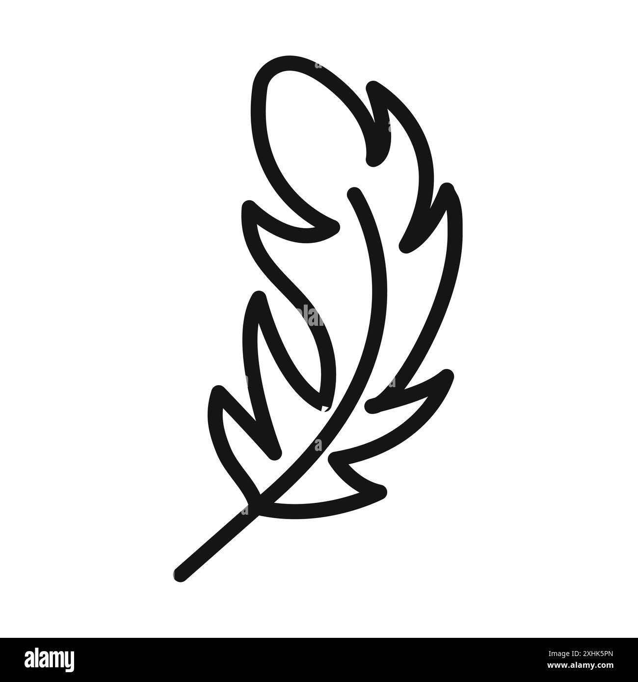 Feather icon Black line art vector in black and white outline set ...