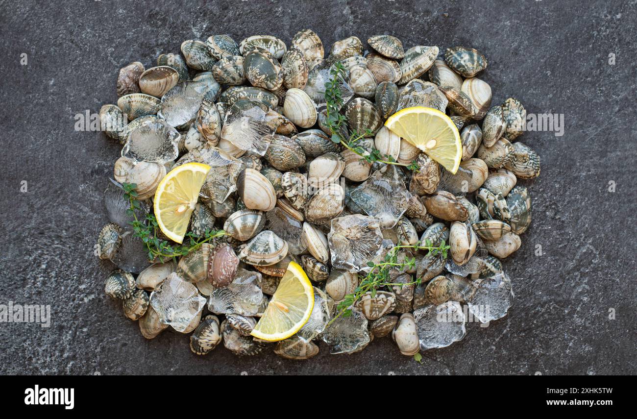 Live clams hi-res stock photography and images - Alamy
