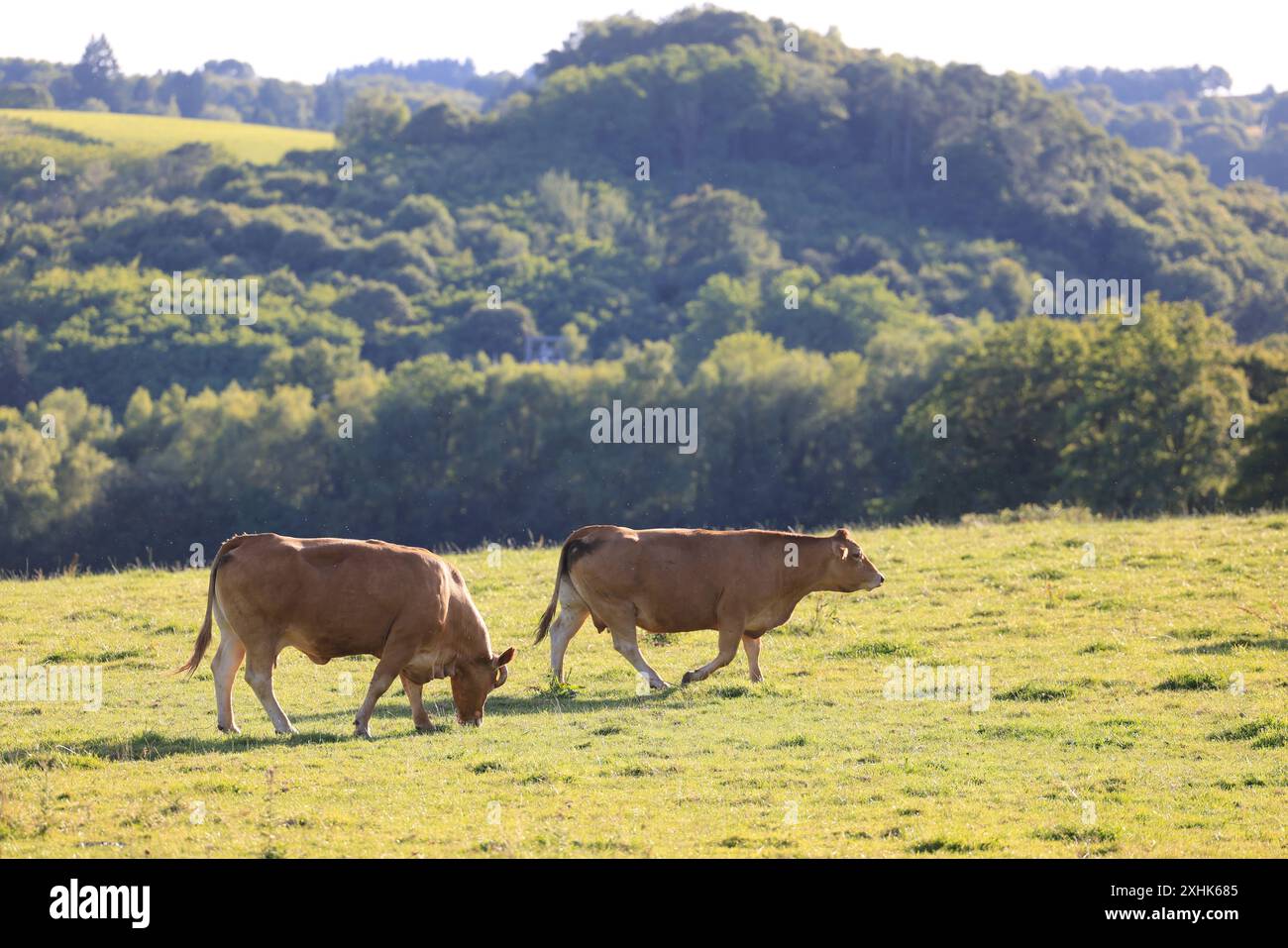 Methane emissions europe hi-res stock photography and images - Alamy