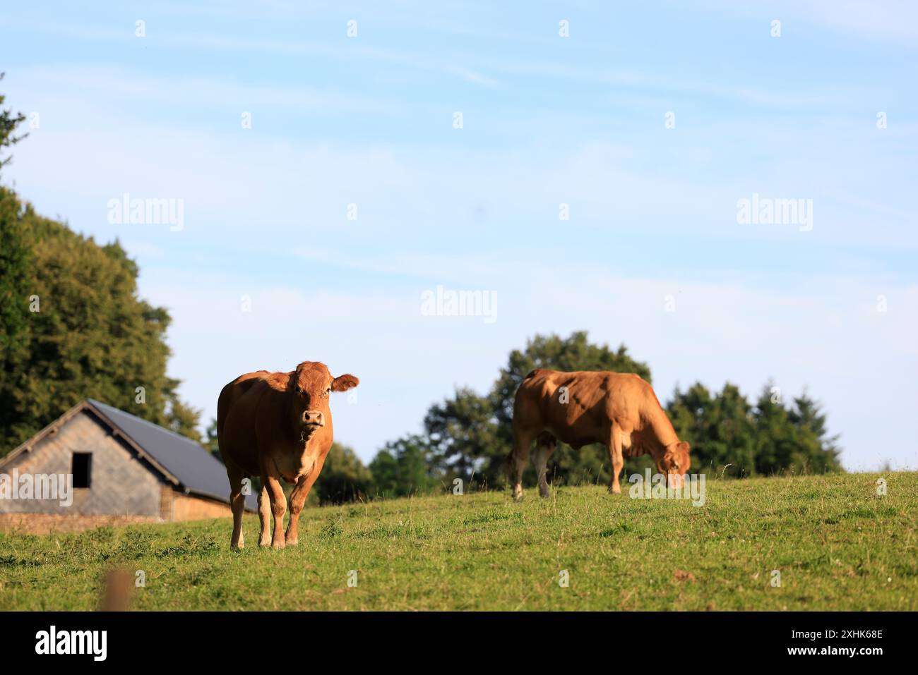 Methane emissions europe hi-res stock photography and images - Alamy