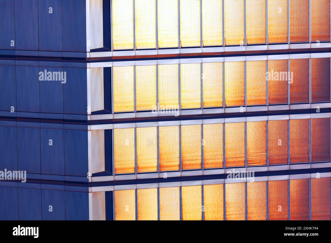 Building has a lot of windows with sunlight reflection. Skyscraper ...