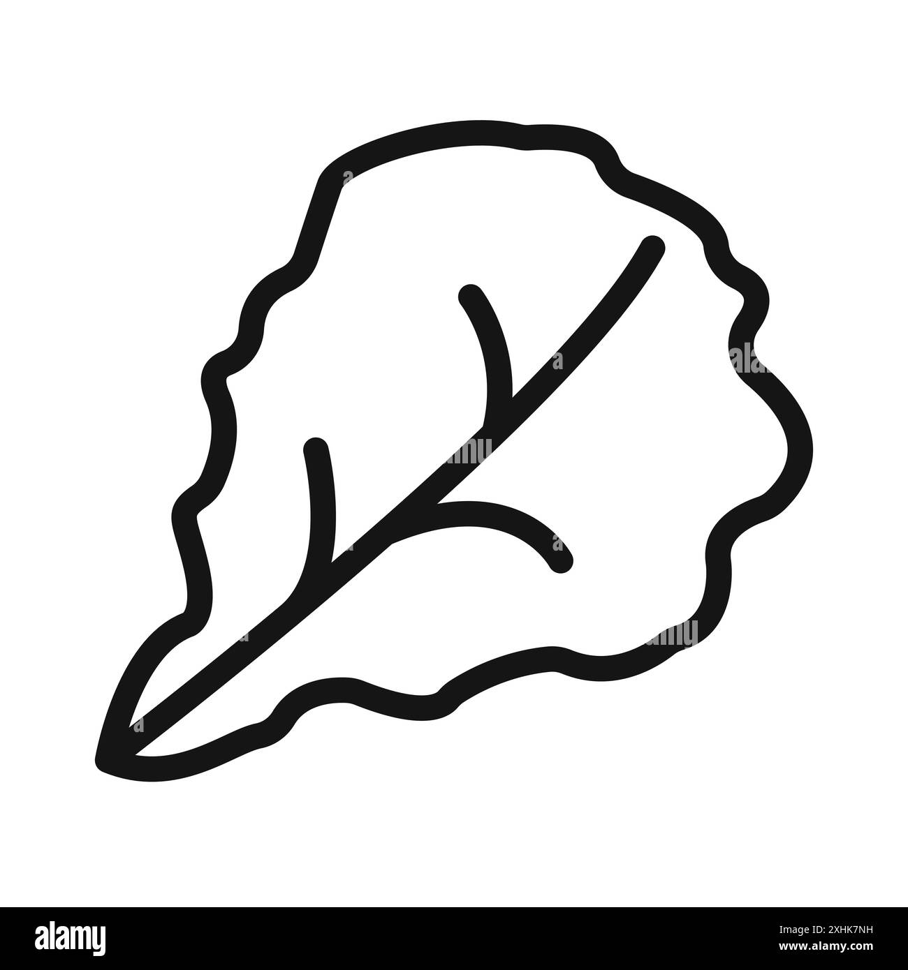 Lettuce icon Black line art vector in black and white outline set collection sign Stock Vector ...