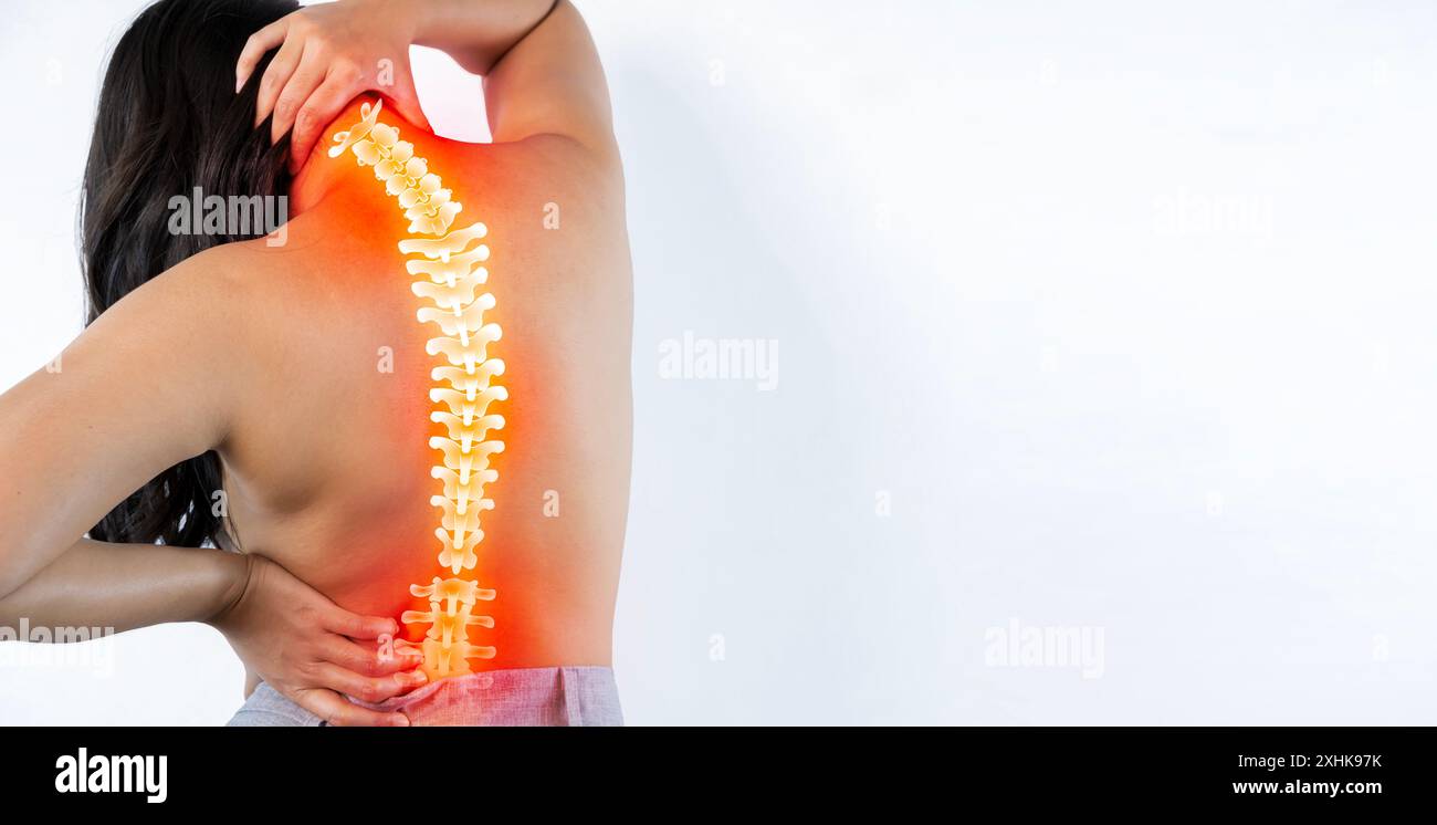 Back muscles anatomy hi-res stock photography and images - Alamy