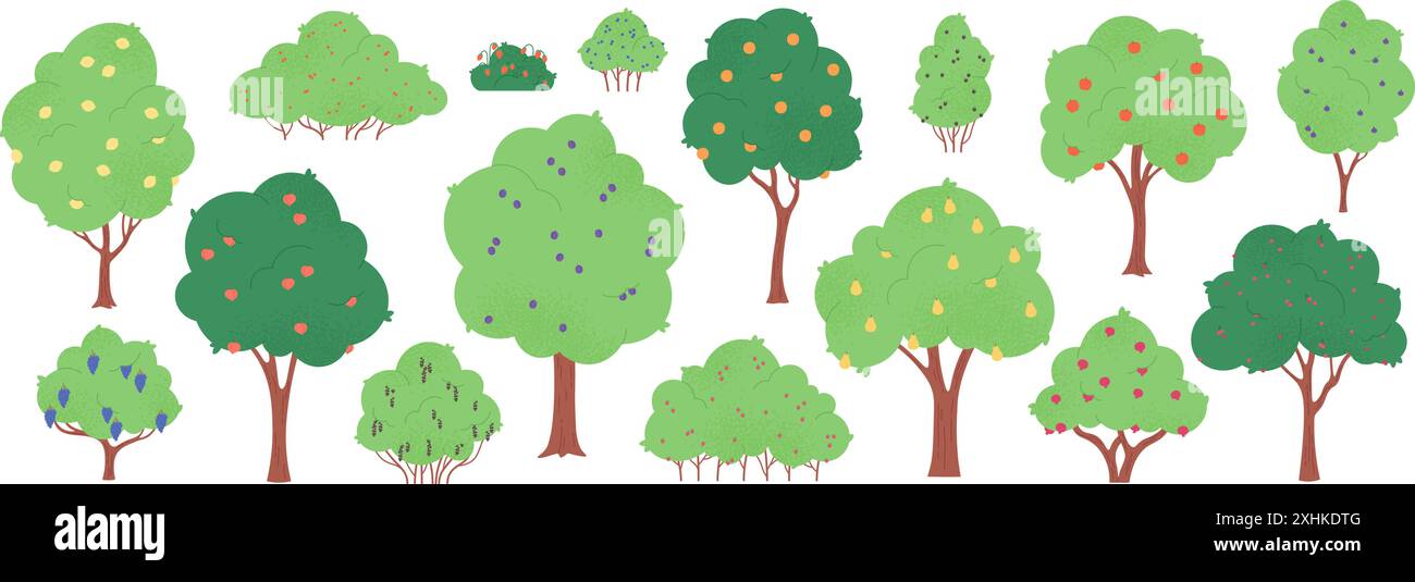 Garden fruit plants. Harvest time, trees and bushes with berries and ...