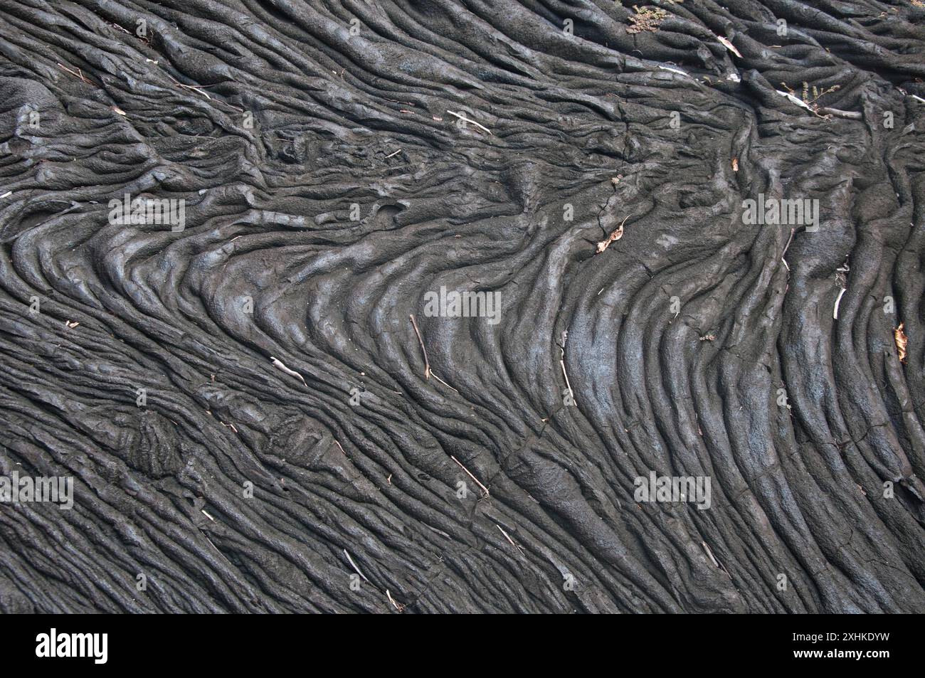 Ripple patterns in historic lava flow, Samoa Stock Photo - Alamy