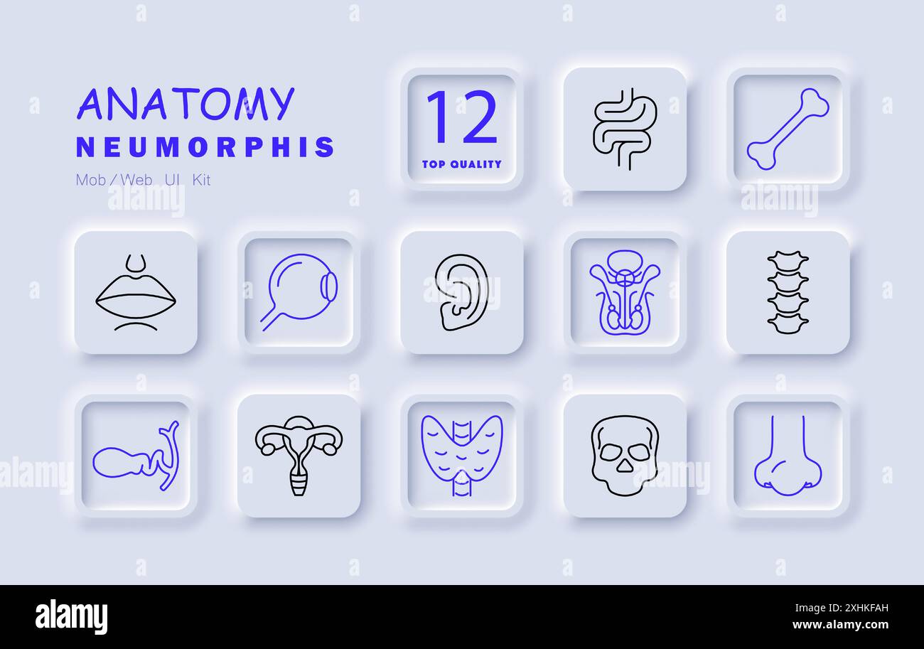 Anatomy set icon. Brain, heart, lungs, liver, bones, stomach, eye, DNA ...