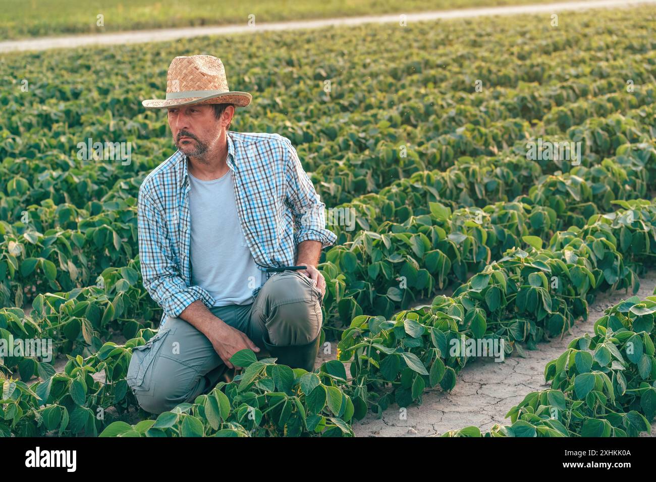 Portrait farmer squatting in field hi-res stock photography and images ...