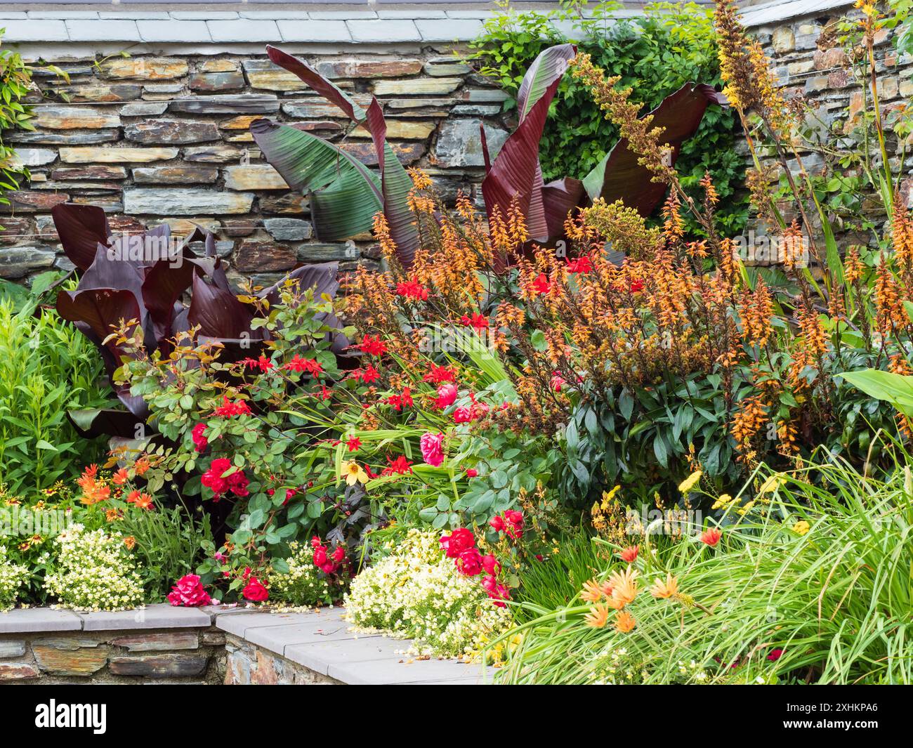 View of part of the newly opened court garden at Trebah sub tropical ...