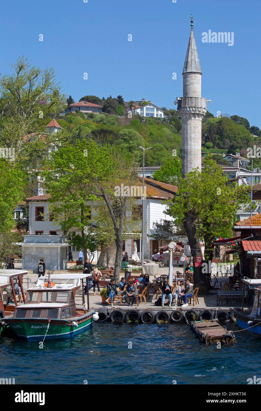 Turkey, Istanbul, Asian side, young people sitting on benches in a tree ...
