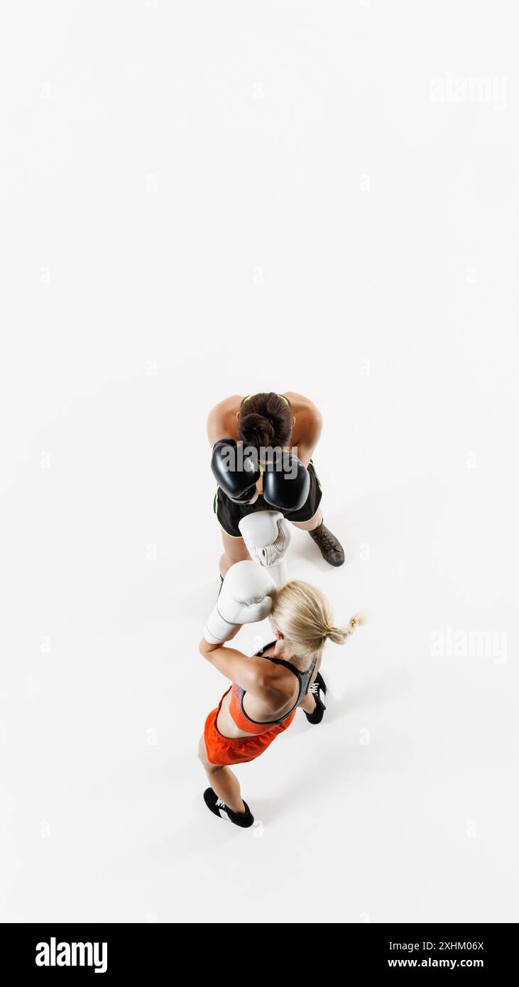 Top view of two competitive and focused women, boxing athletes in ...