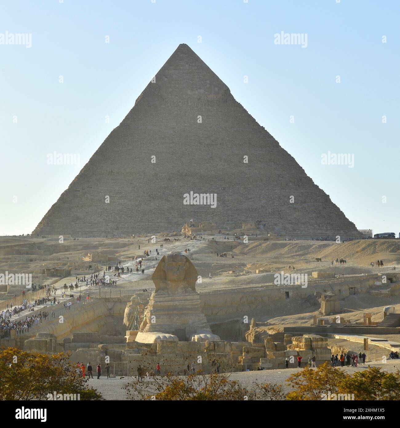 Egypt, Cairo, Gizeh, plateau of Gizeh, listed as World Heritage by ...